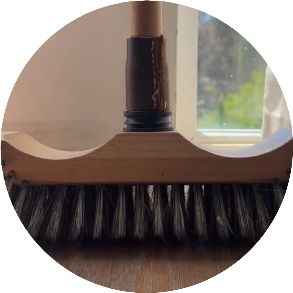 The French Broom